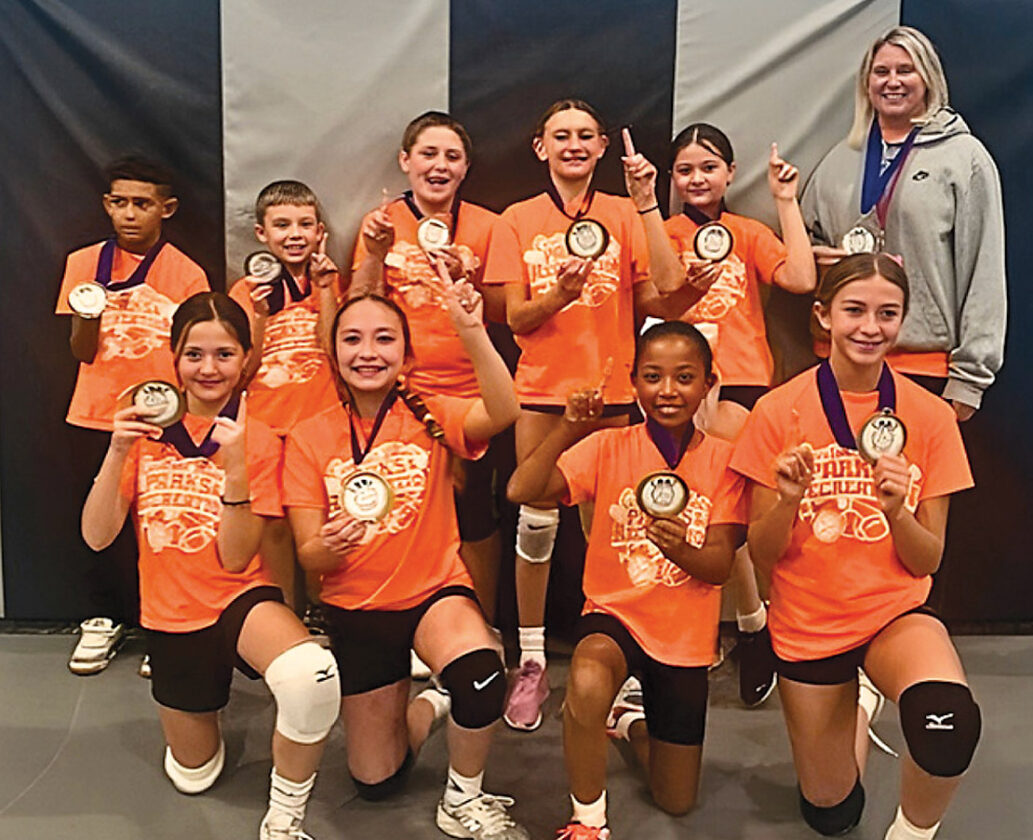 Local volleyball champions | News, Sports, Jobs - Altoona Mirror